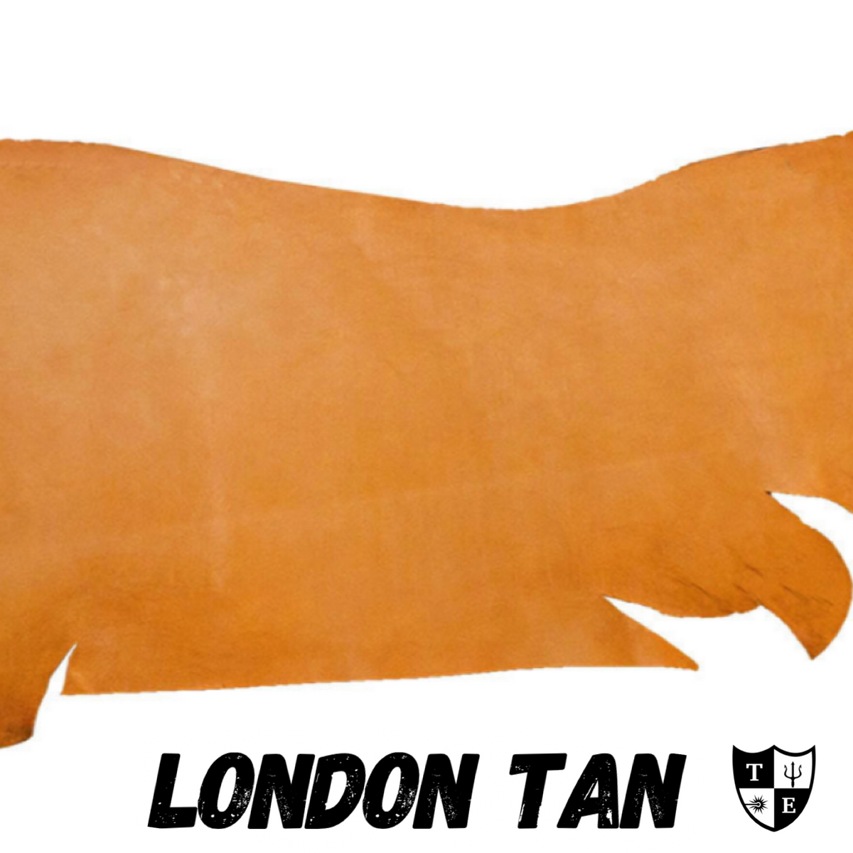 Special Forces - ODA 3331 – Trident's Edge, LLC